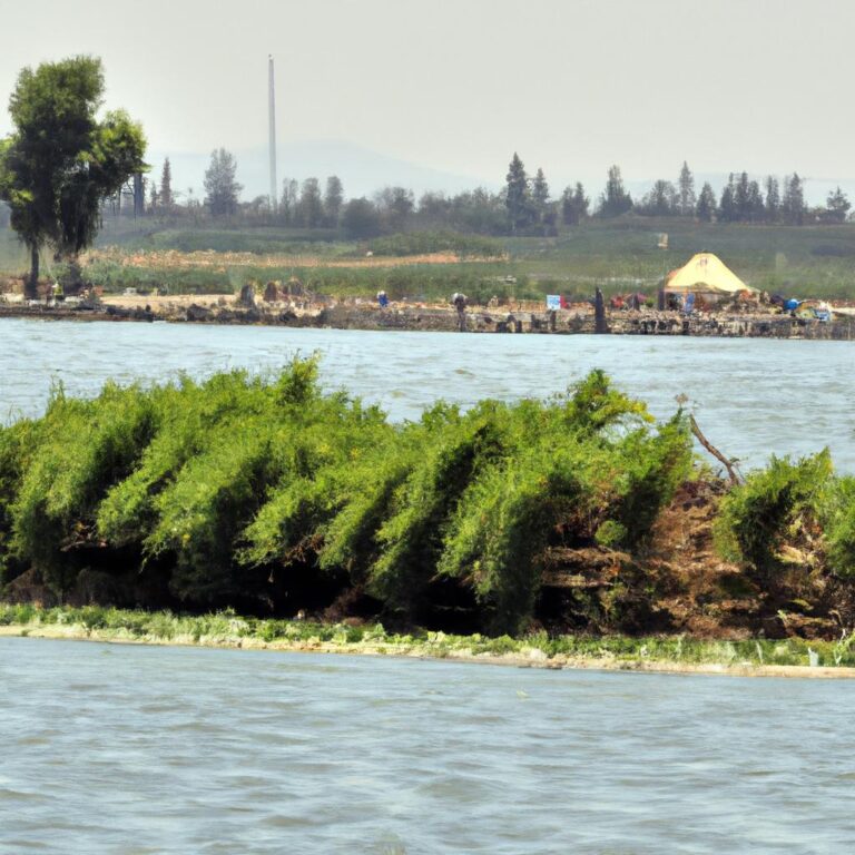 Chinampas: El Innovador Sistema De Agricultura De Las Civilizaciones De ...